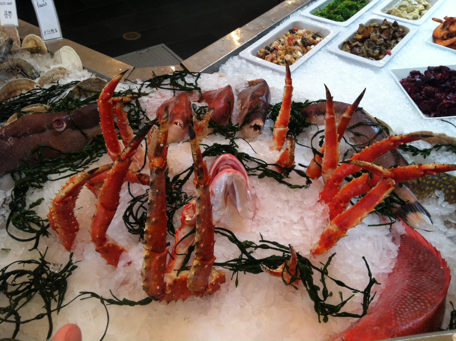 The Edible Ocean: Norway Delivers Beautiful Crab