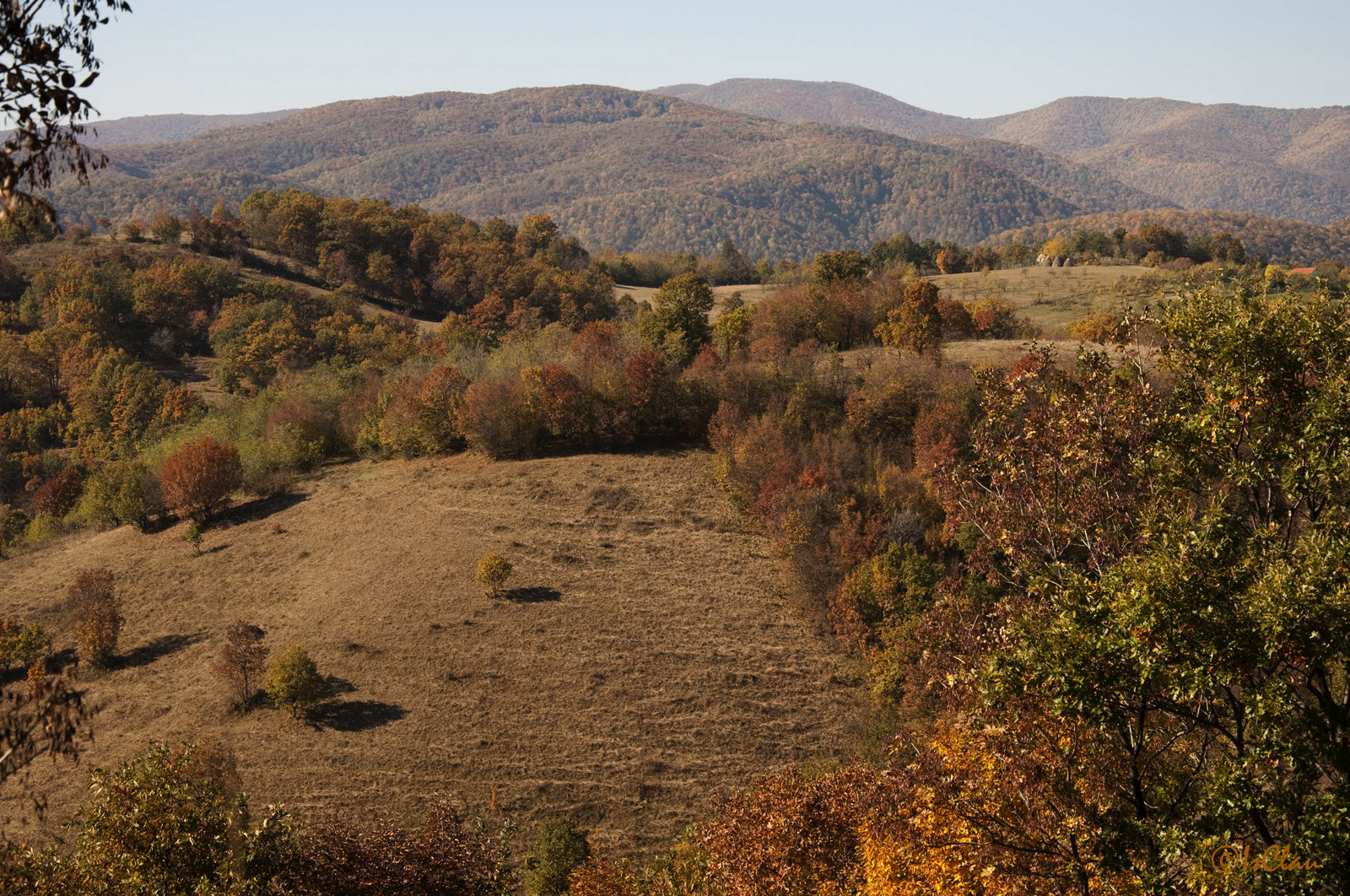 In linii mari: Imagini de toamna