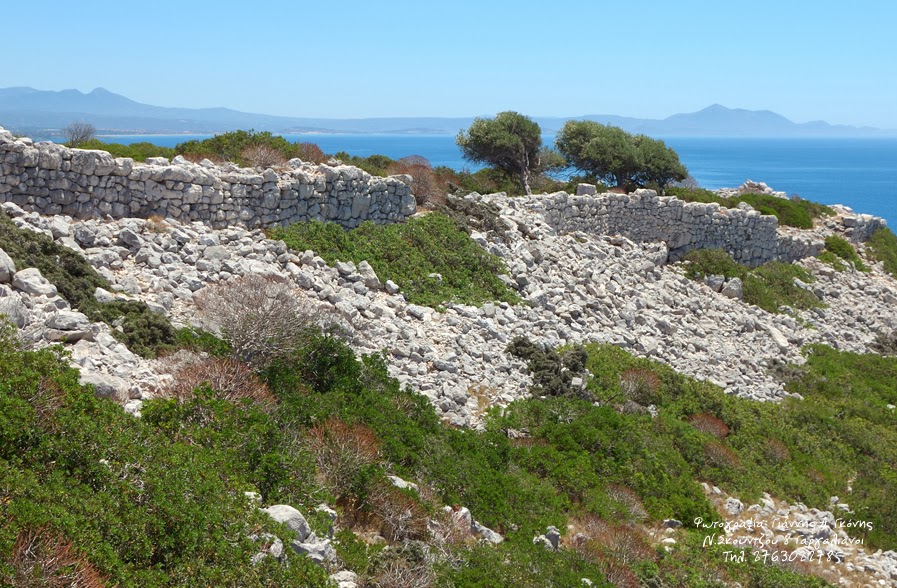 navarinoinvestment.blogspot.com: Νήσος Πρώτη- Τριφυλία