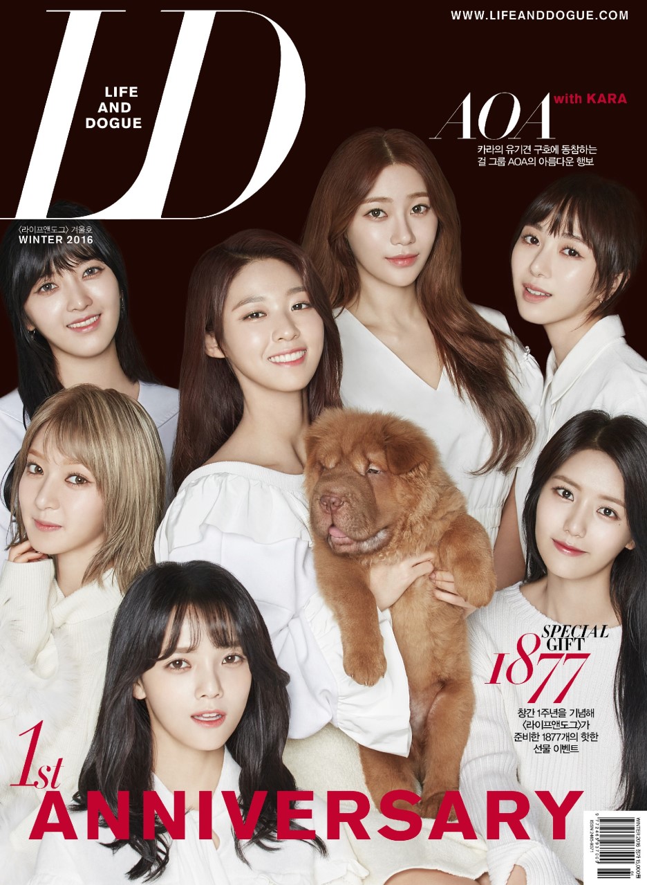 Lovely Beauty Girls: AOA Members Profile