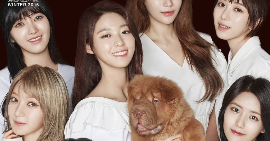 Lovely Beauty Girls: AOA Members Profile