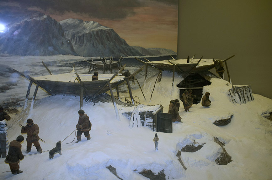 Things I Make and Find: American Museum of Natural History: Dioramas