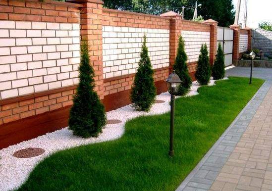 Decorate your home with small tree basins and stones