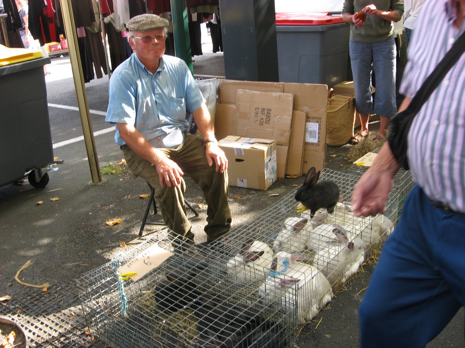 Rabbits/Meat/Hunting and more: Cool Post from Stone & Thistle Farm On ...