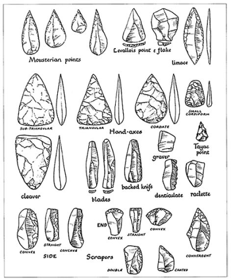 In History: Middle Stone Age or Mesolithic Age
