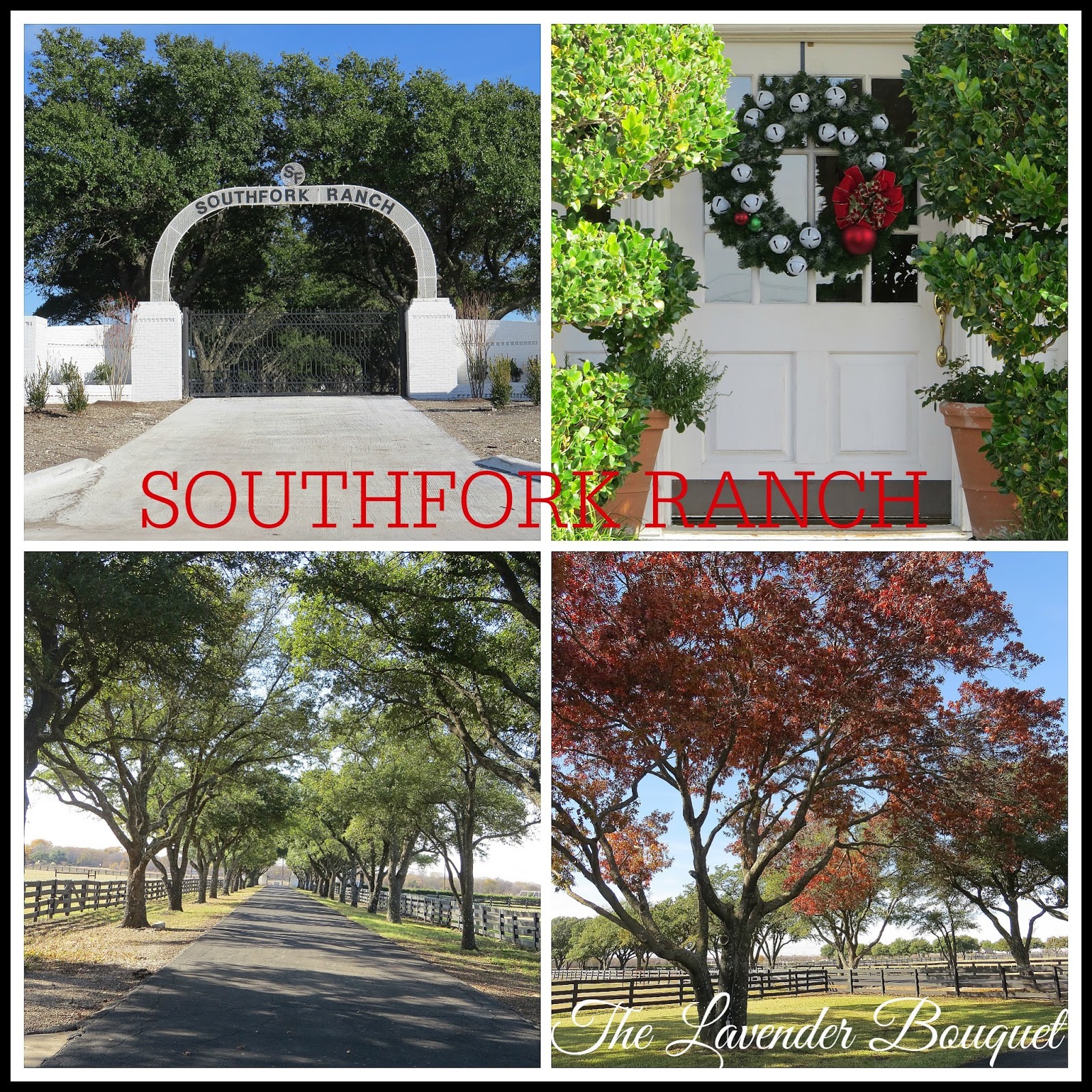 The Lavender Bouquet: CHRISTMAS TOUR AT SOUTHFORK RANCH