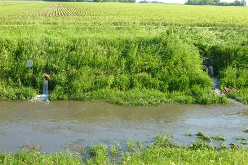 Sustainable crop production & natural resource conservation with better ...