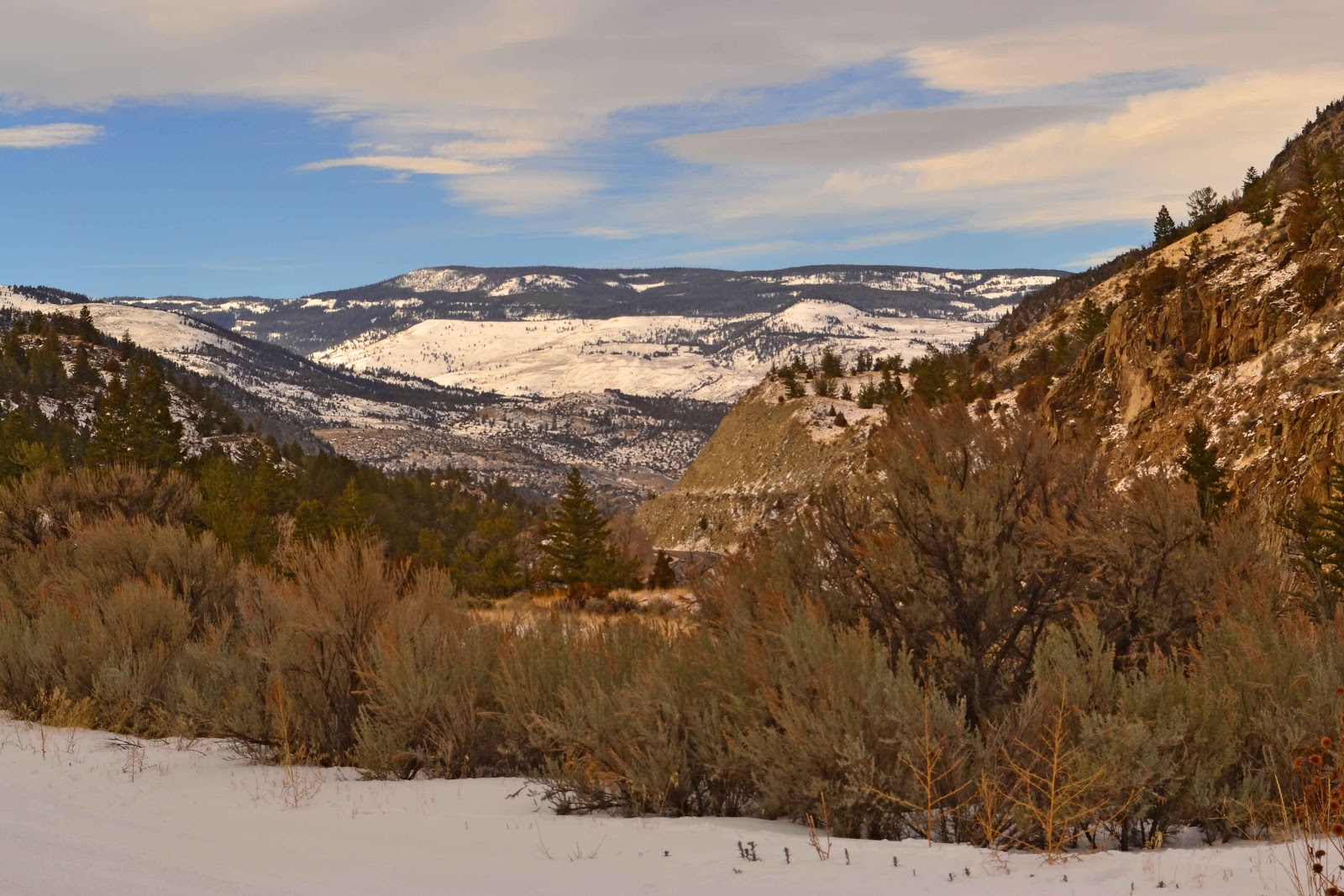 Putah Creek Photo: Montana In Deep Freeze