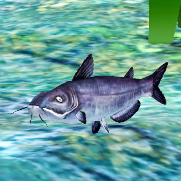 Simming in Magnificent Style: Piranha-angel fish-jelly fish-blowfish ...