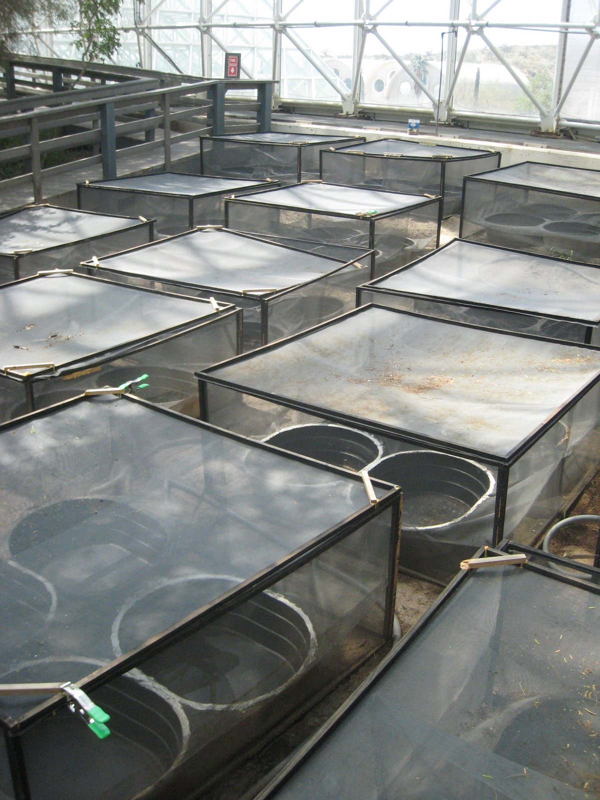 Out & About: Biosphere 2