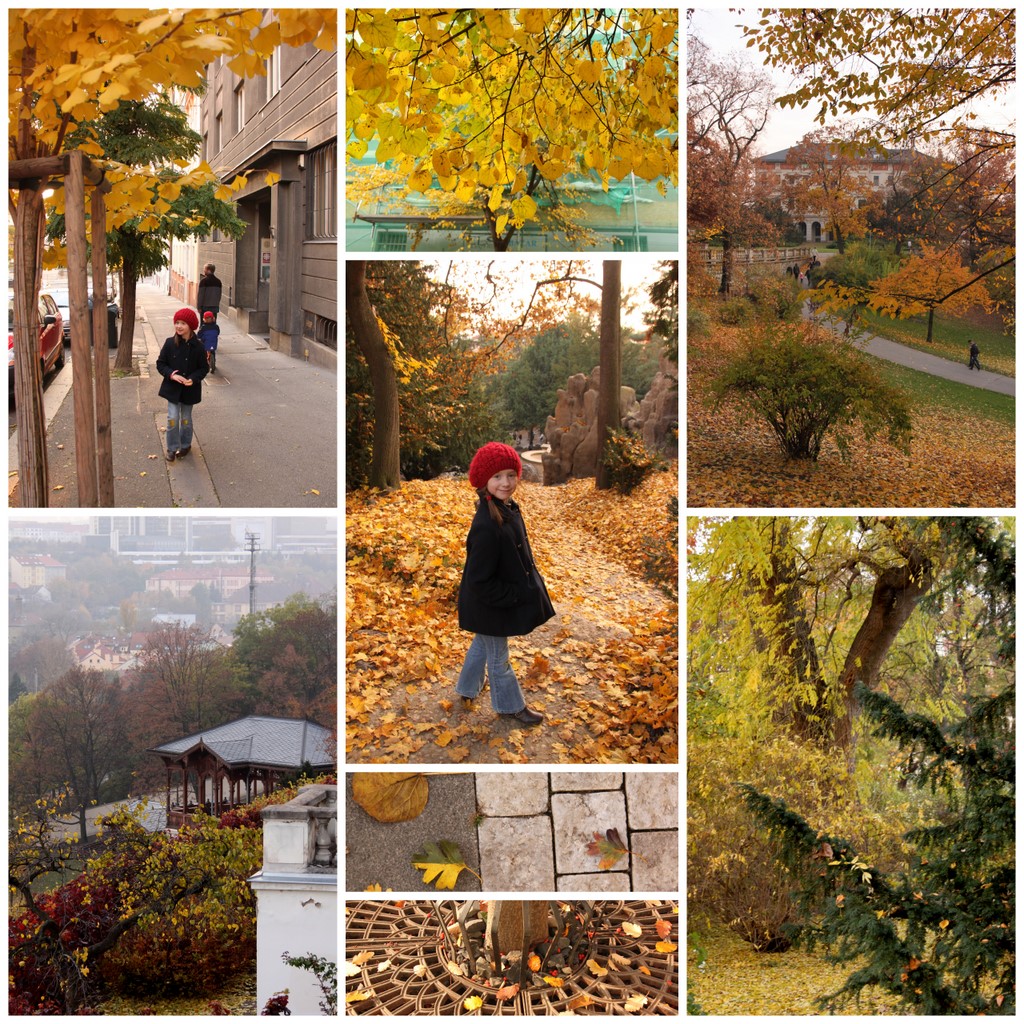 Kolo kolo mlynsky :::: The Color of Fall in Prague
