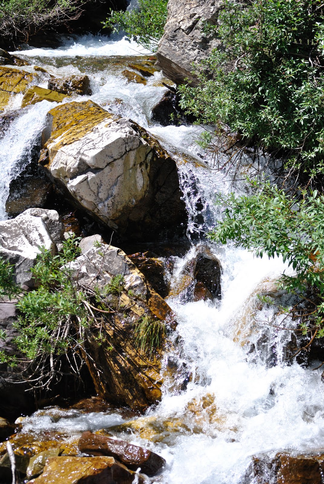 The Travels of Nancy Chalmers -- LOVE MONTANA: Apikuni Falls