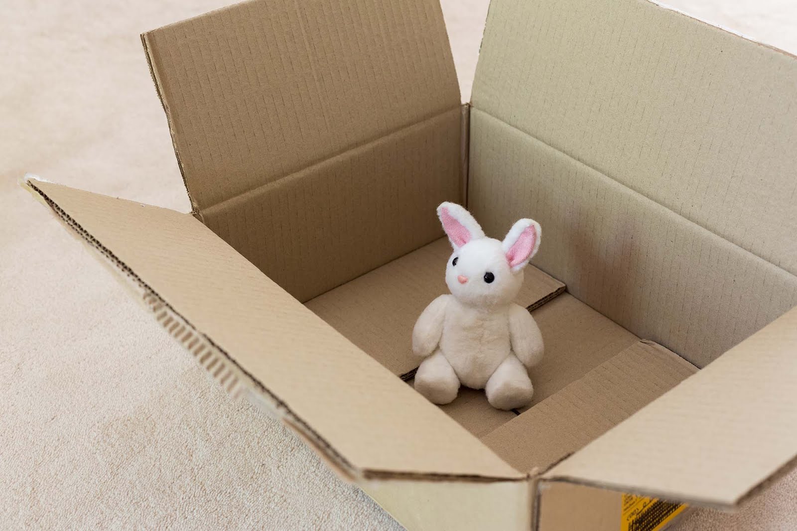 Mia Rabbit: In a Box
