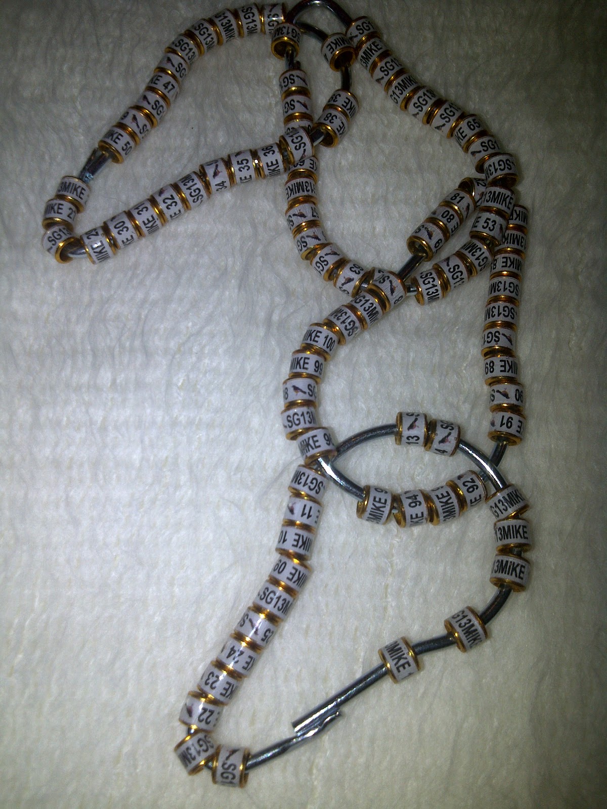 White Rumped Shama Breeding: My Shama Breeding Production (Batch C)