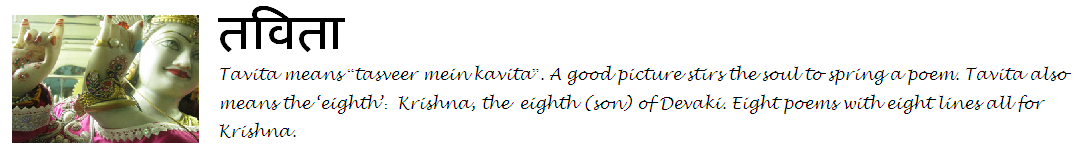 Tavita