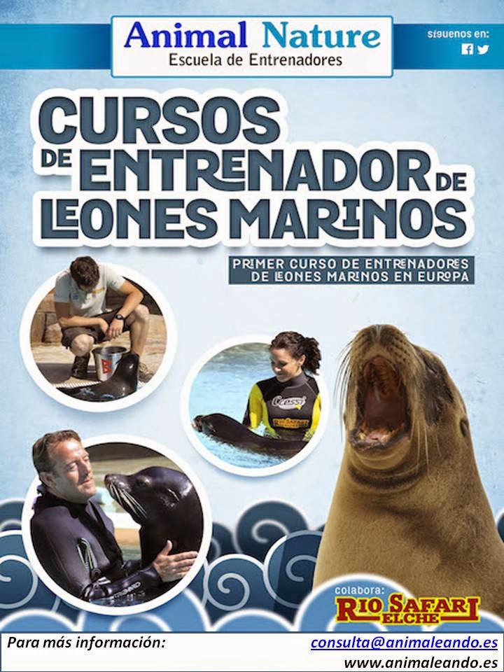 Animaleando: Por fín ya está aquí!