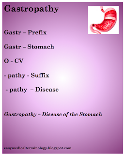 Easy Medical Terminology : Gastropathy Stomach Disease Free Poster