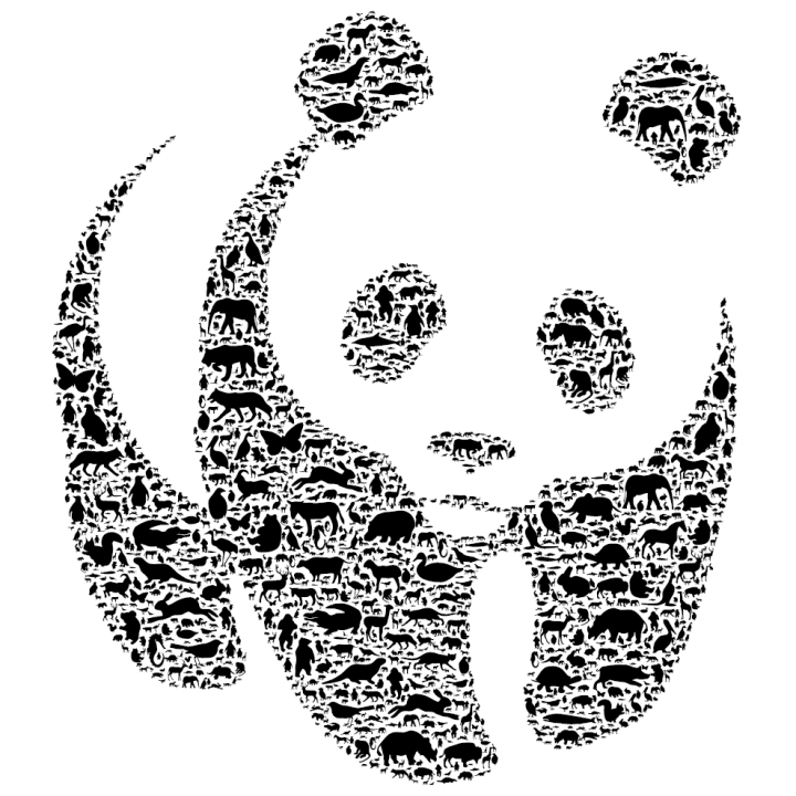 Notre classe de français: Animaux en voie de disparition