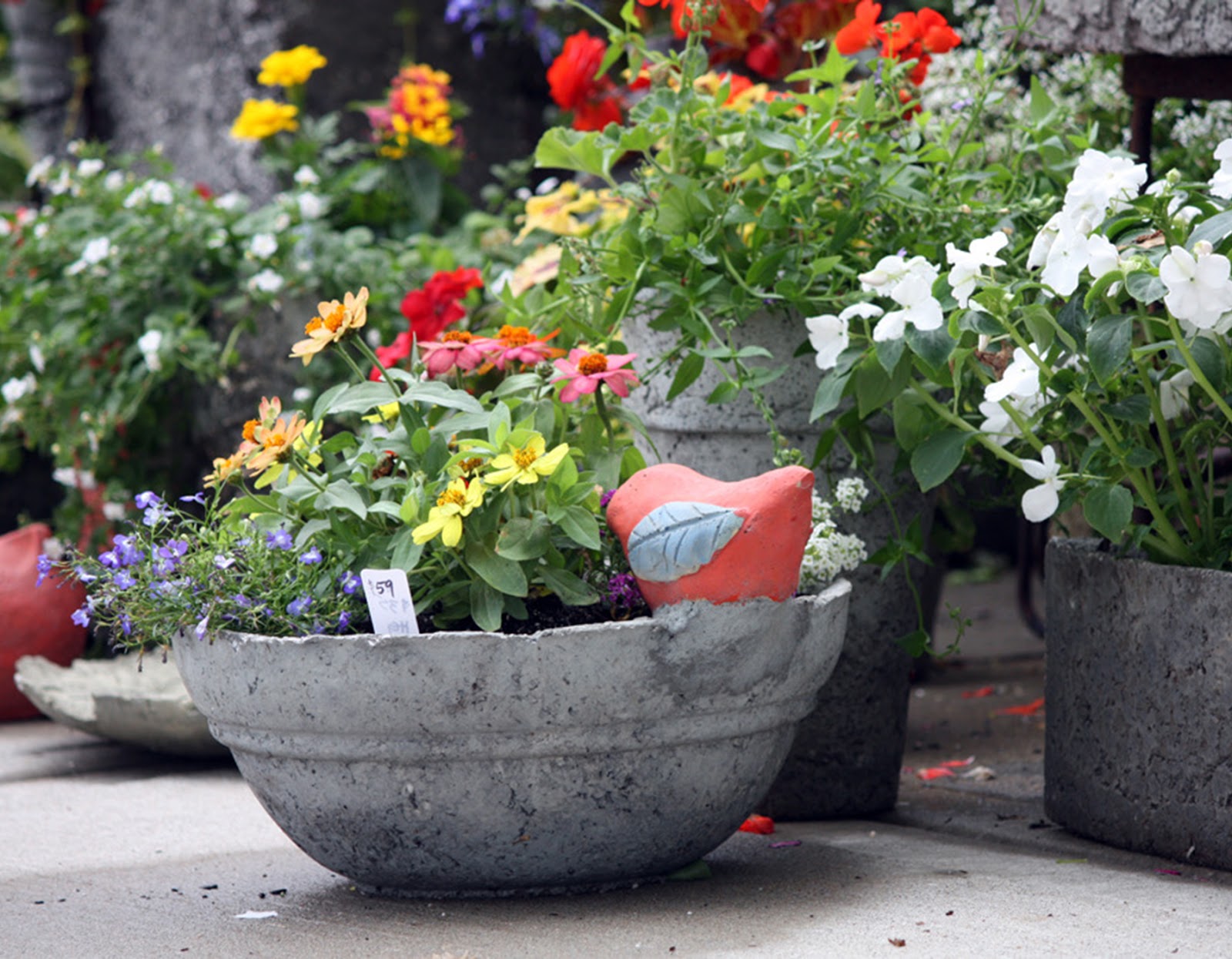 From the Summer's Garden: BENEFITS OF HYPERTUFA CONTAINERS AND DECORATION