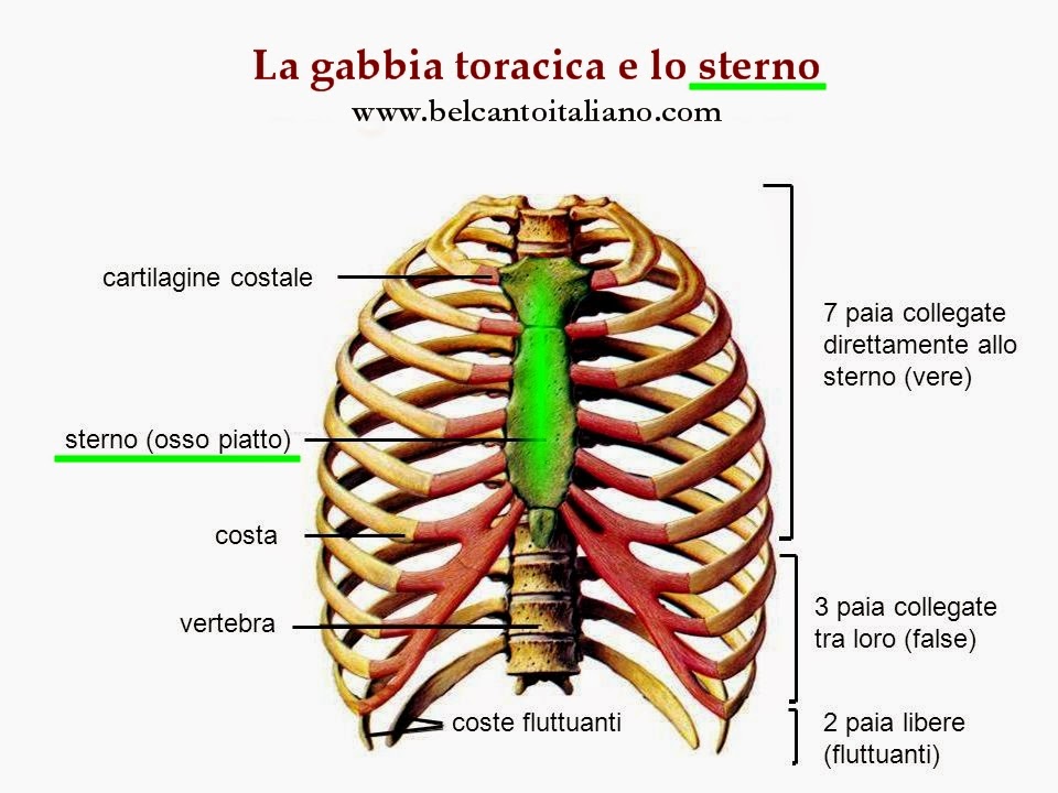 Forno rotor, cucina: Cos e lo sterno