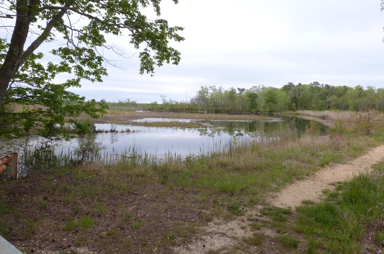 Stromboli's Rolling Log: Day 39 Wednesday May 11, 2016 Discovering the ...