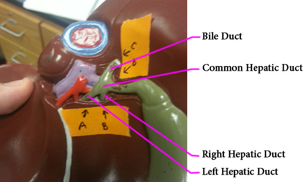 Duda's Epic Quest To Epicness