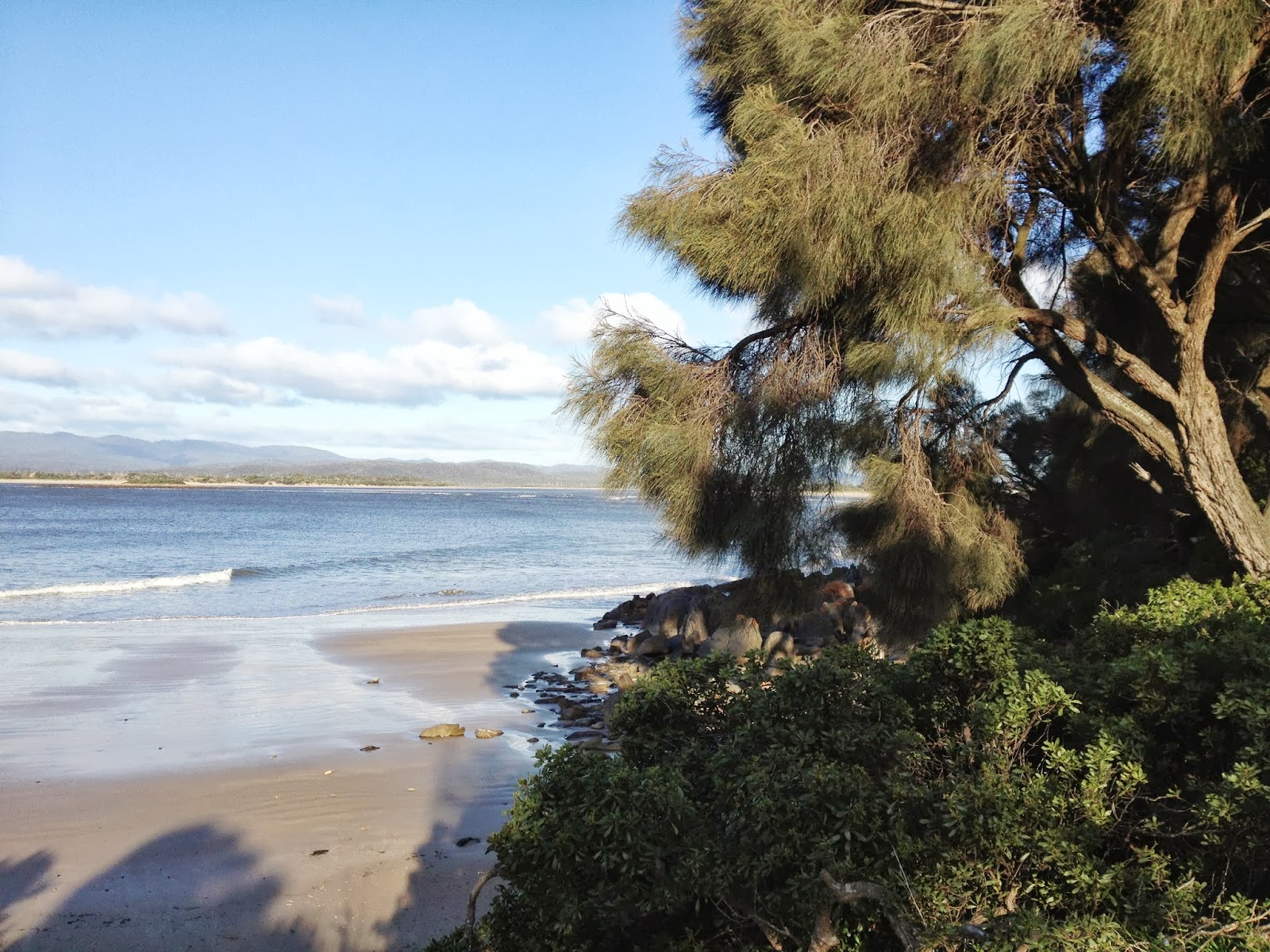 Tribulations pacifiques: Hawley Beach, Tasmania