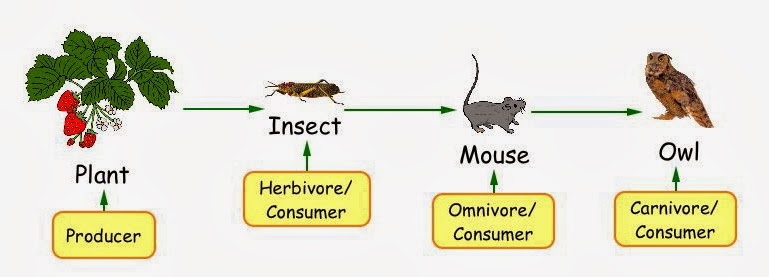 The Impacts of Climate Change : How Climate Change is Affecting Food ...