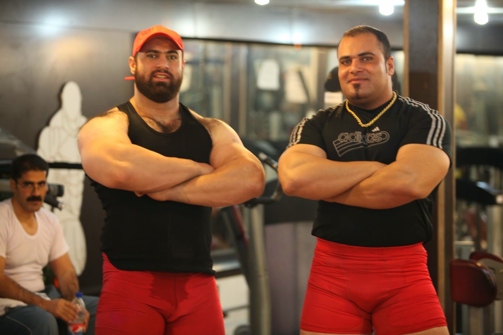 Muscle Lover: BIG BULLS!