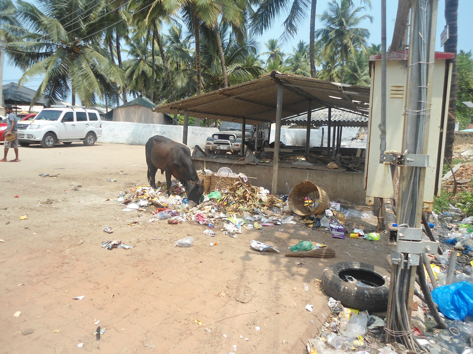 CLEAN GOA- GREEN GOA - PLASTIC FREE GOA