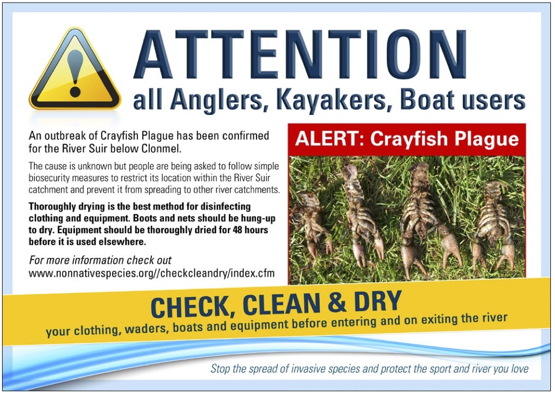 Kilcullen Diary: Reiteration of Crayfish Plague warning