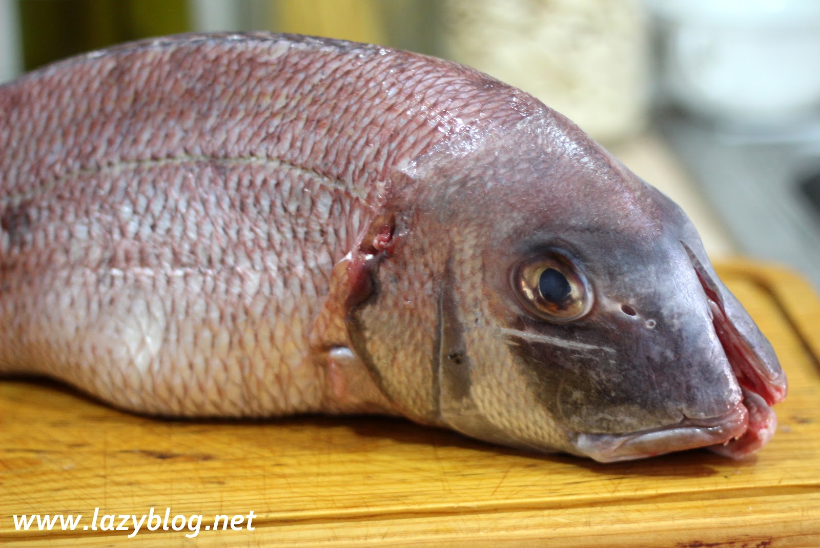 Cómo hacer Pargo al horno con sabor a limón pero sin usar limón