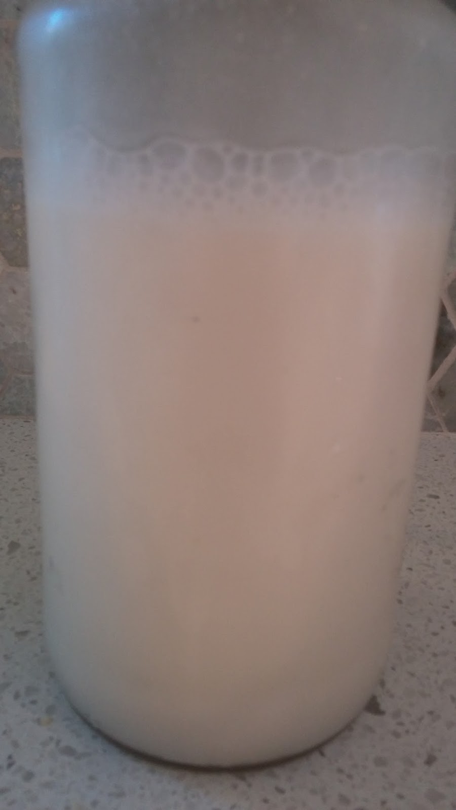 The Soapy Chef: Toasted Brown Rice Milk at Home