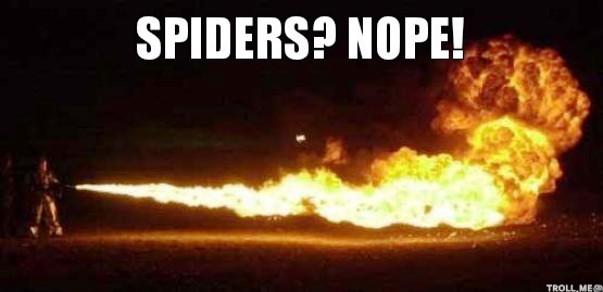 Nope Spider Meme