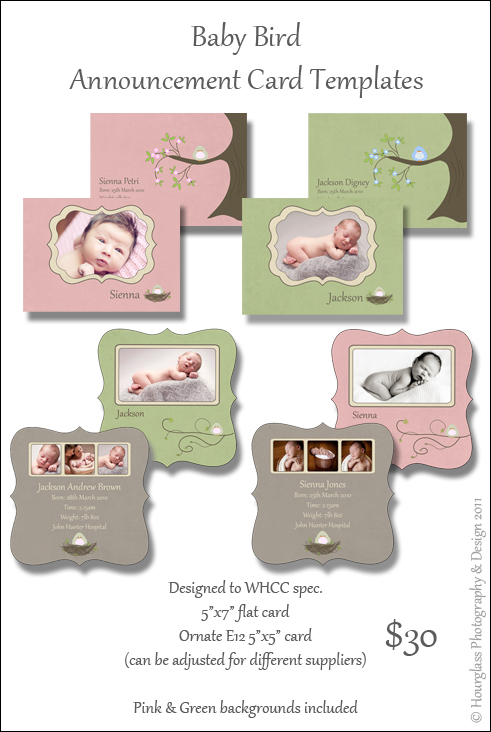Hourglass Photography & Design: Baby Bird Template