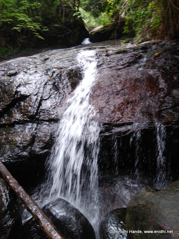 Seetharkundu viewpoint and Pothundi Dam, Nelliyampathy, Kerala - eNidhi ...