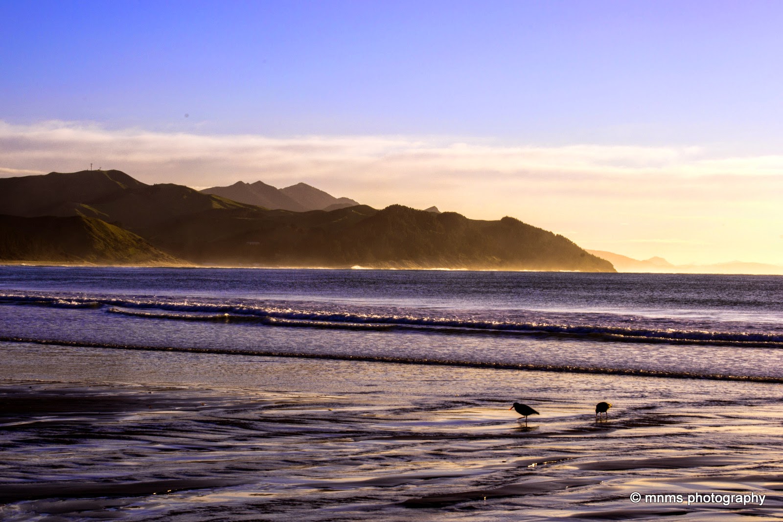 10 reasons to visit Castlepoint | the adventures of MNMs