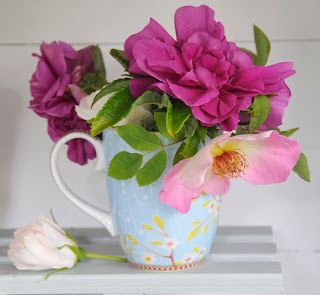 Helen Philipps: Vintage Roses