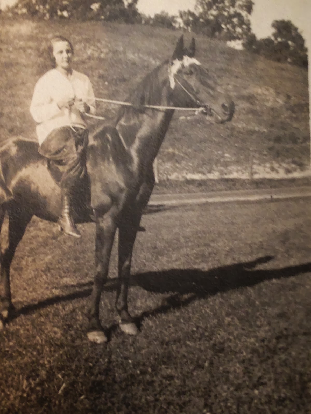 Argetsinger Family Tree