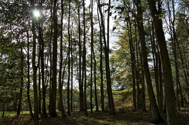 The Blog: Ten Phobias You Probably Haven't Heard Of