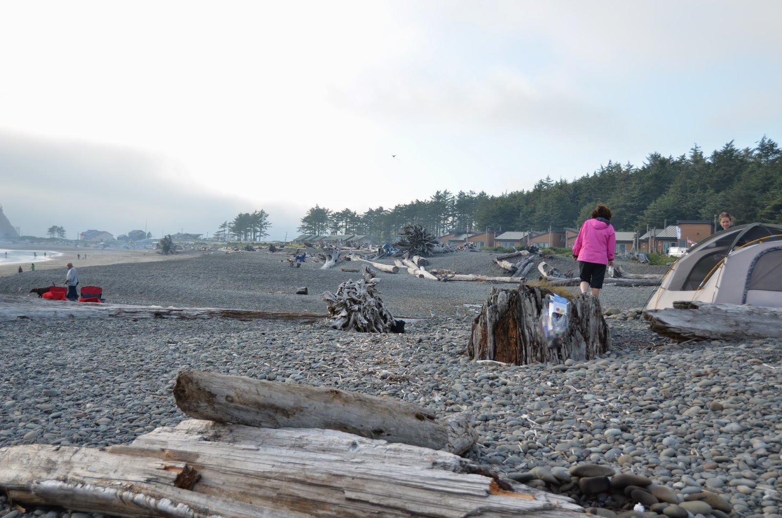 Life Experiences: Beach camping at First Beach in La Push