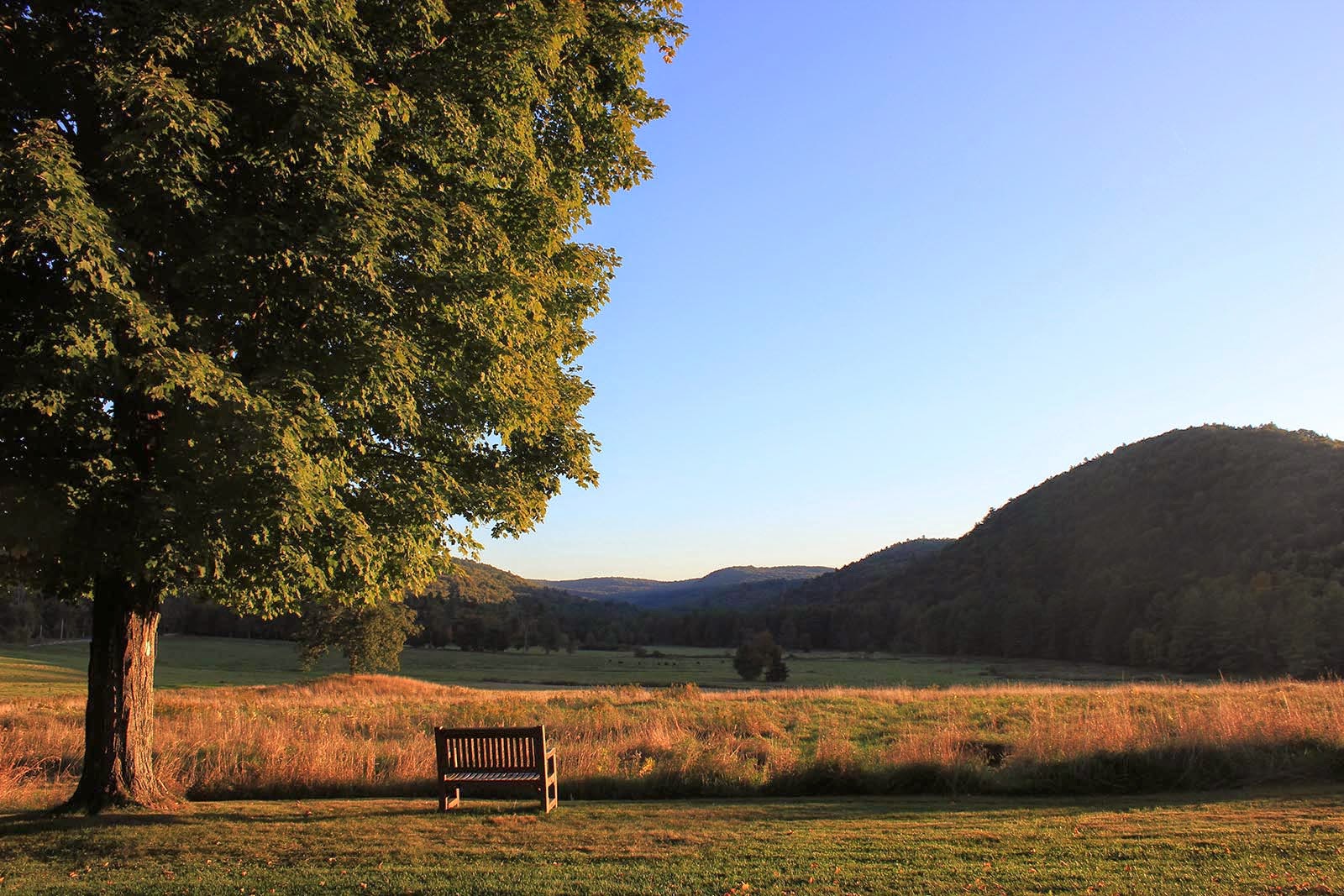 Cornwall Historical Society: Coltsfoot Farm Milk Bottle