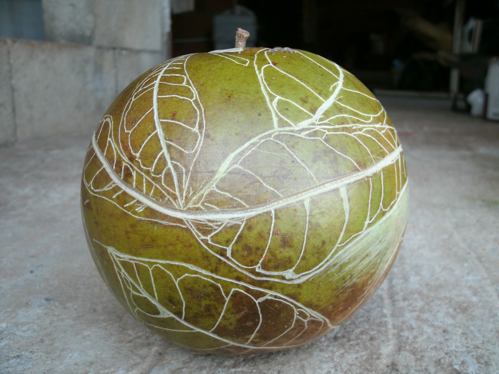 My Life in Gardens: Terrain and Tradition