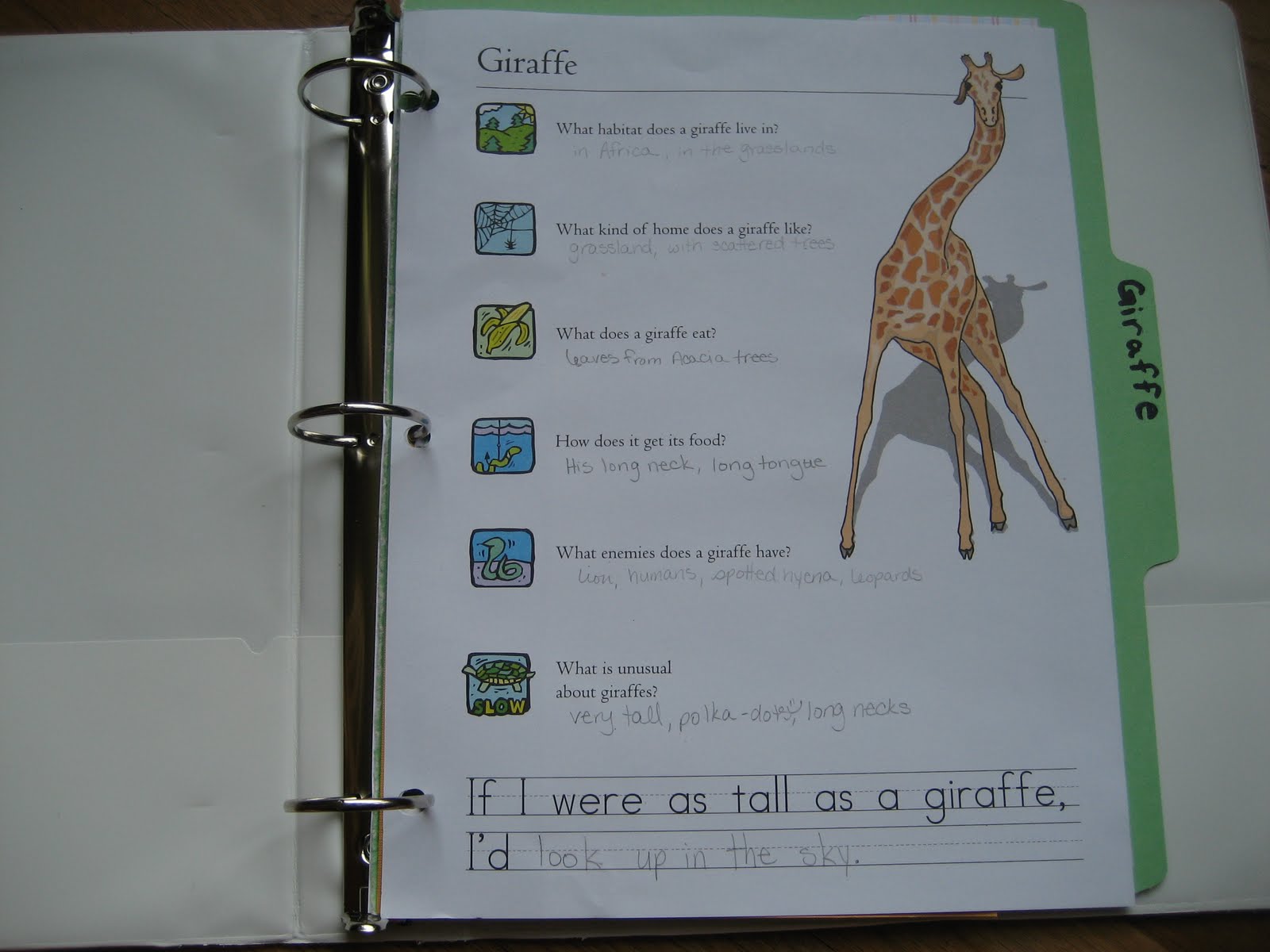 The Preschool Experiment: Animal Notebook