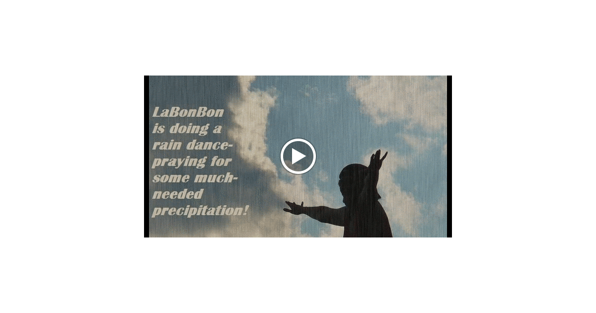 Reflections from Bon Bon Pond: Rain Prayers