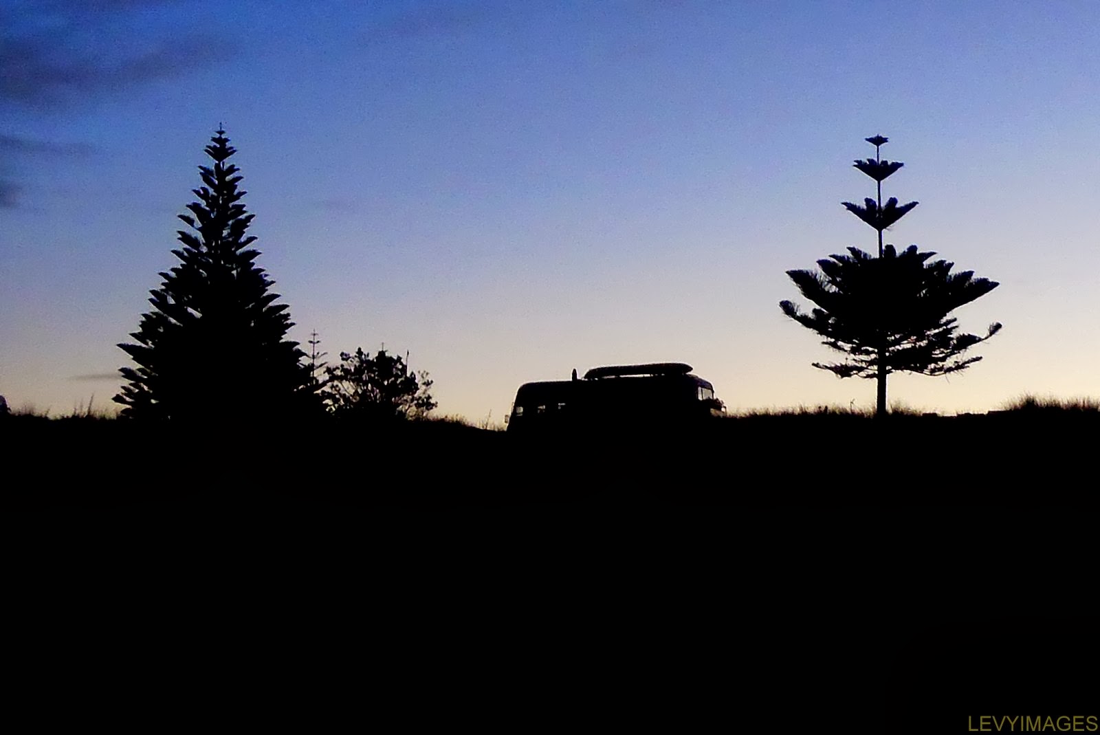 The Flying Tortoise: World Turtle And Tortoise Day...