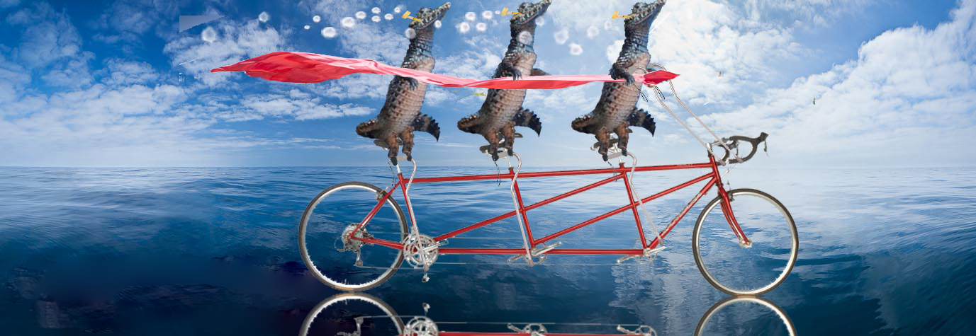 Darren Thompson: Three Alligators riding their Tandem Bicycle blowing ...