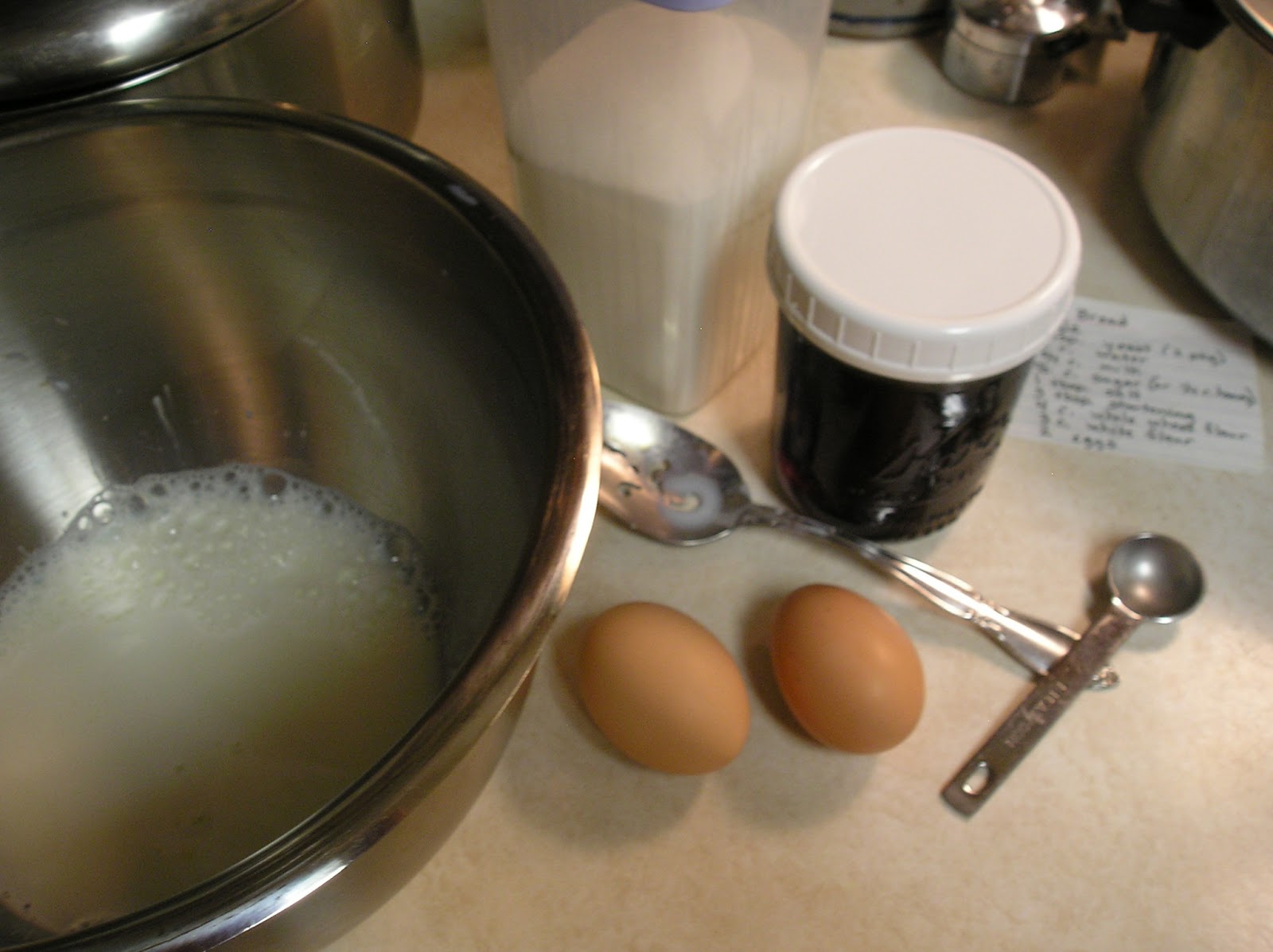 Thoughts from Frank and Fern: Making Whole Wheat Bread