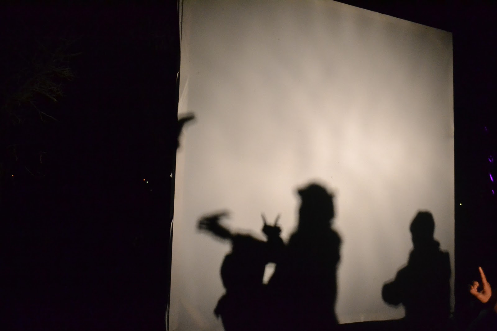 Out2play in the garden: Enchanted Woodland: A Garden At Night