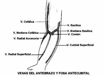 BIOMETRIA HEMATICA CBTIS 7